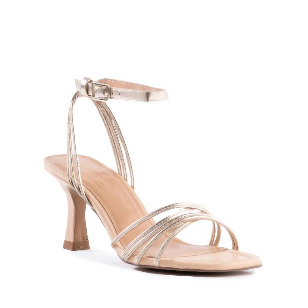 Seychelles - Starboard Heels - Penningtons