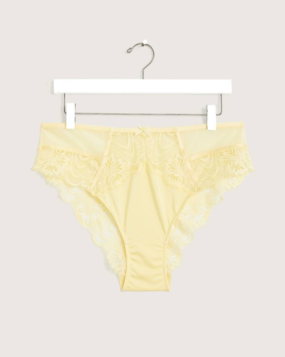 Solid Lace and Mesh Cheeky Brief - Déesse Collection | Penningtons