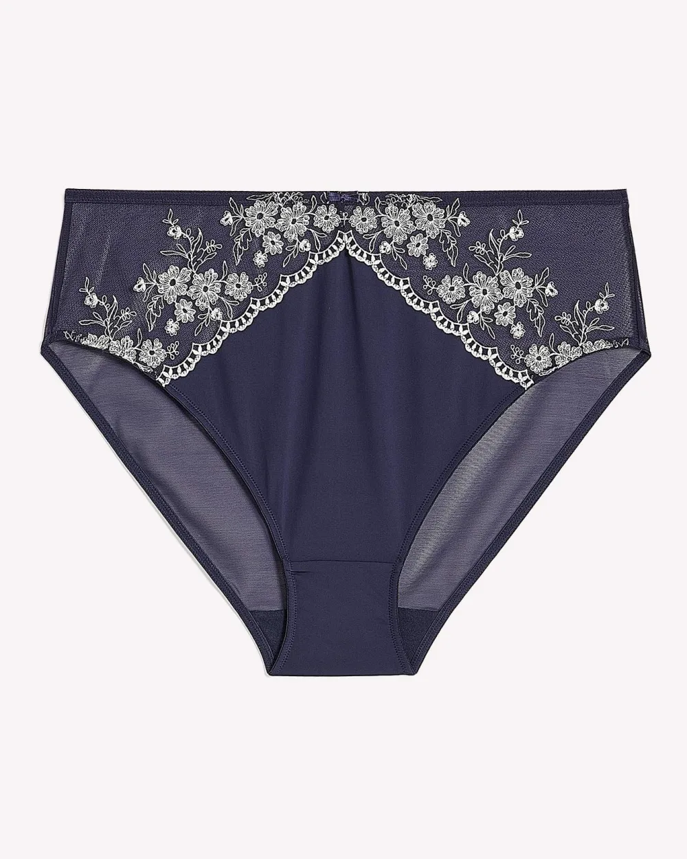 Blue High-Cut Brief with Lace Embroidery and Mesh Back - Déesse ...